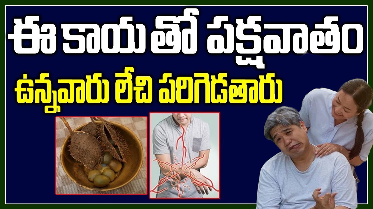 ఈ కాయతో పక్షవాతం ఉన్నవారు లేచి పరిగెడతారు | paralysis treatment ...