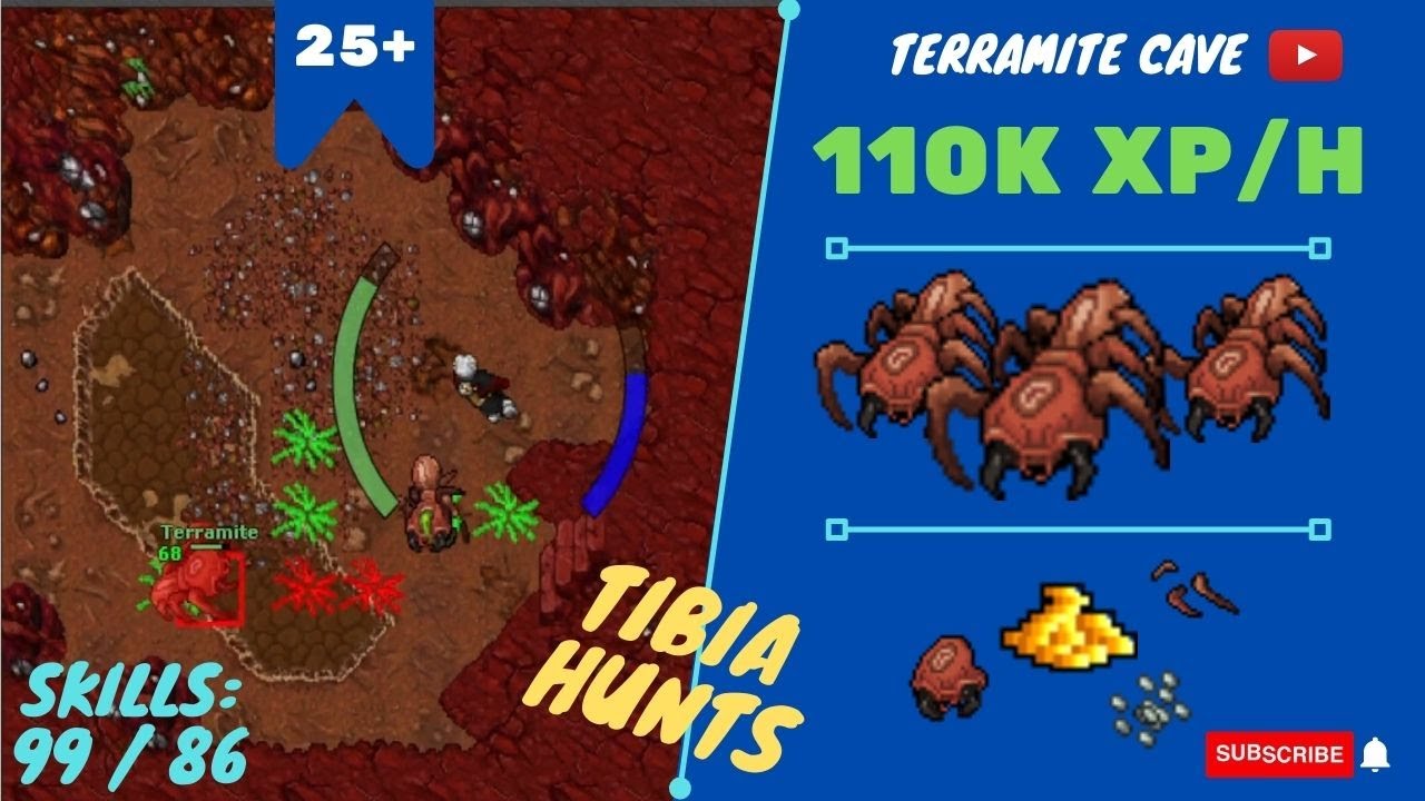 RP SOLO LVL 25+ 110K XP/H - SKILLS 71/58 - Terramite Cave - TIBIA HUNT - YouTube