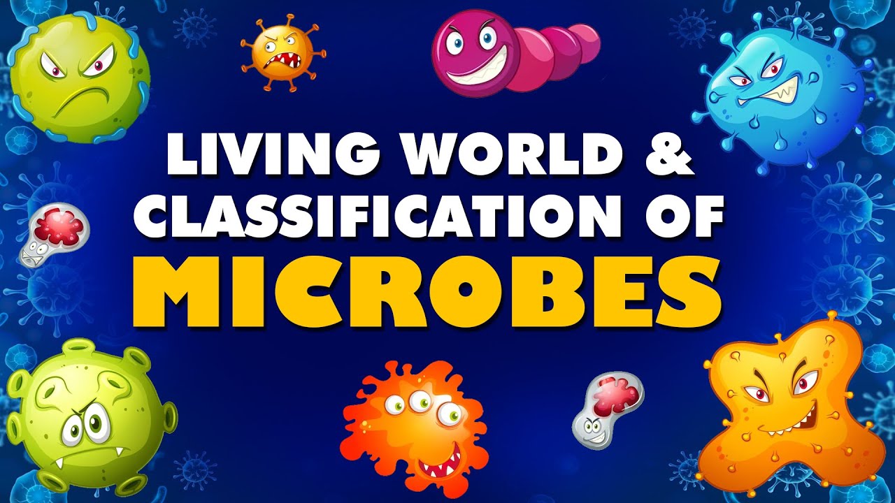 Class 8 | Living world and classification of microbes | Science ...