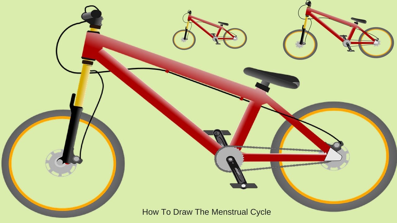 How To Draw The Menstrual Cycle How To Draw The Menstrual Cycle For ...