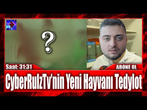 CyberRulzTv - Yeni Hayvanı Olan Tedylot'u Tanıtıyor!! | HARİKA BİR HAYVAN!! | ÖLÜMSÜZ MÜ LA BU?