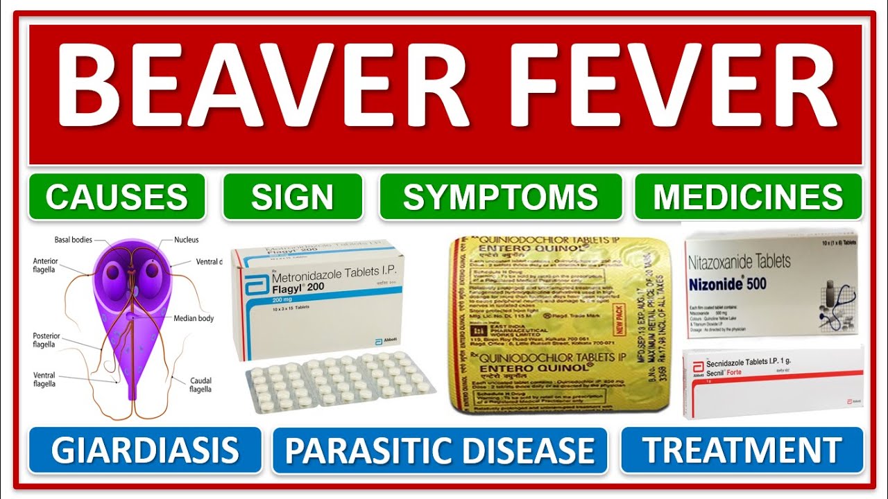BEAVER FEVER, GIARDIASIS, PARASITIC DISEASE, CAUSES, SIGN, SYMPTOMS ...