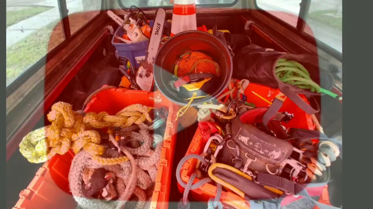 ( RAW ) small pine removal : SRT speedlining / spar work /chucking logs ...