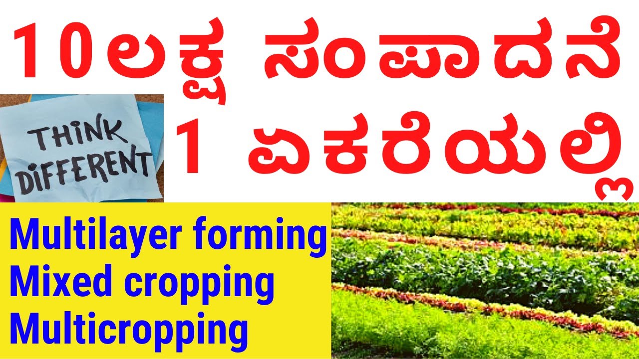10 ಲಕ್ಷ ಲಾಭ 1 ಎಕರೆಯಲ್ಲಿ /multicropping /multilayer farming /farming ...