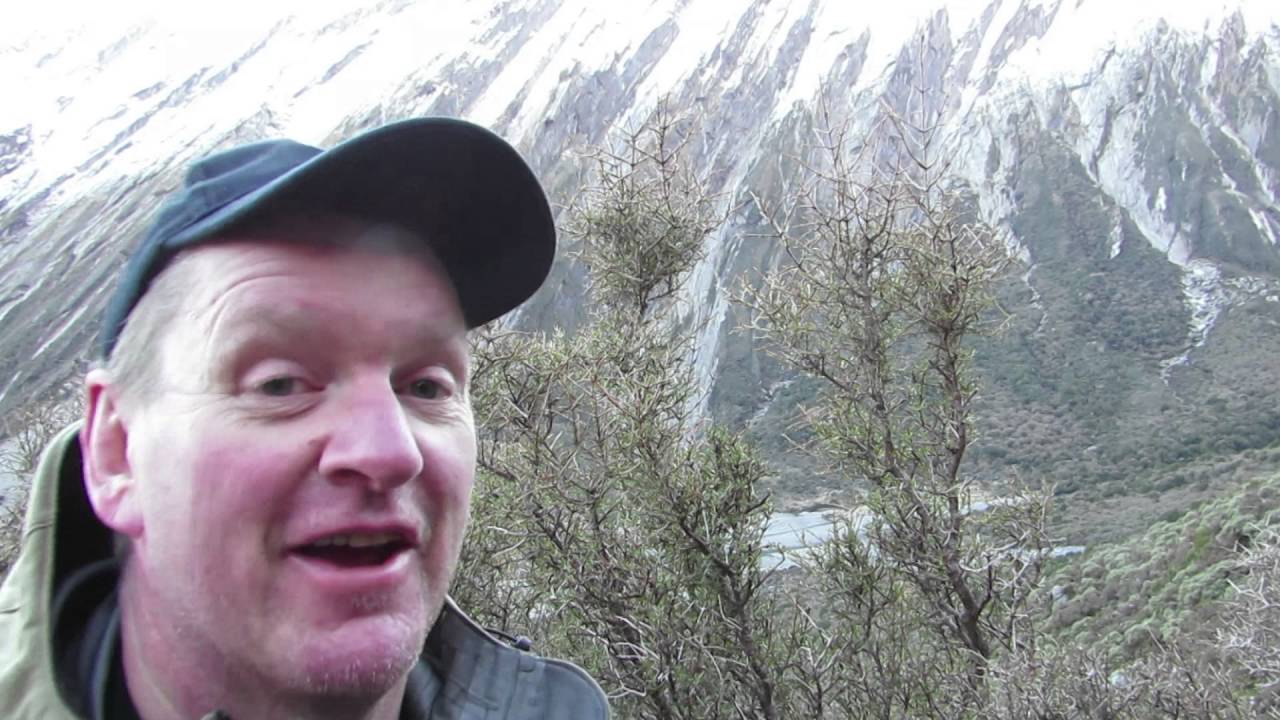 Wilderness tahr hunting in New Zealand Lake Hawea Hunting Safaris - YouTube