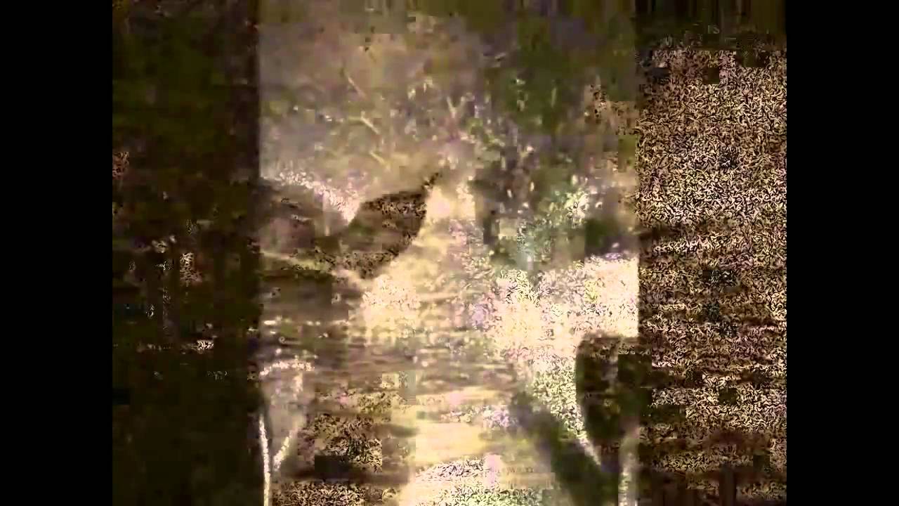 Omid-BaRaN(HD) - YouTube