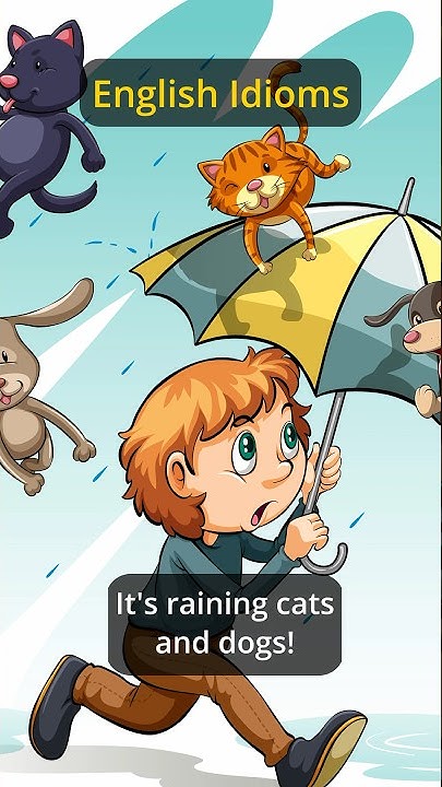 English Idioms - It’s Raining Cats and Dogs! #englishvocabulary #shorts ...