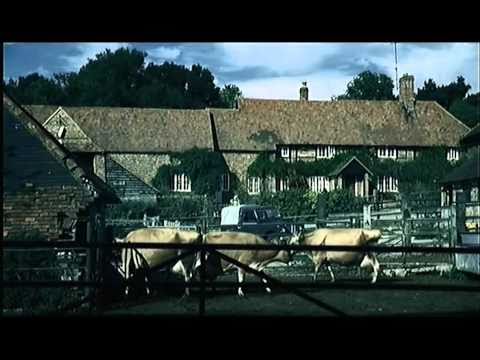 Channel 4 Adverts 30 10 2005 - YouTube