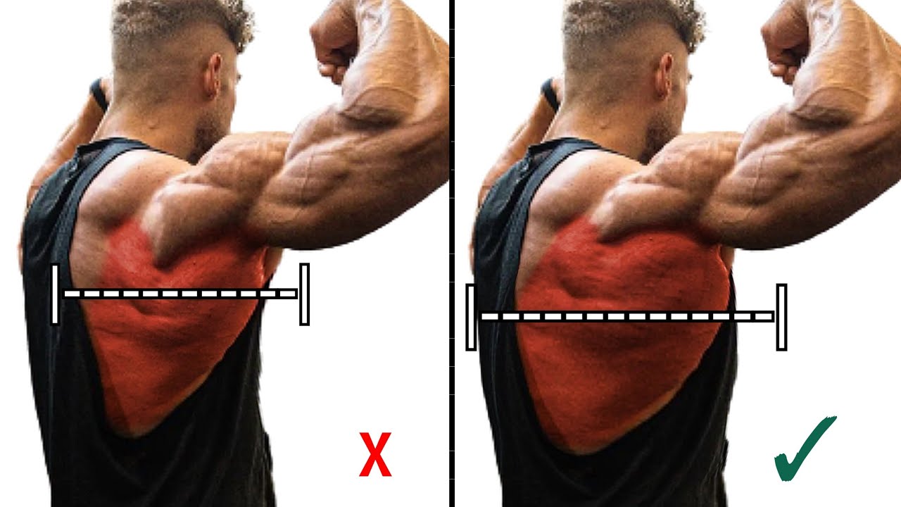 Best Back Workout to Build Wider Back - YouTube