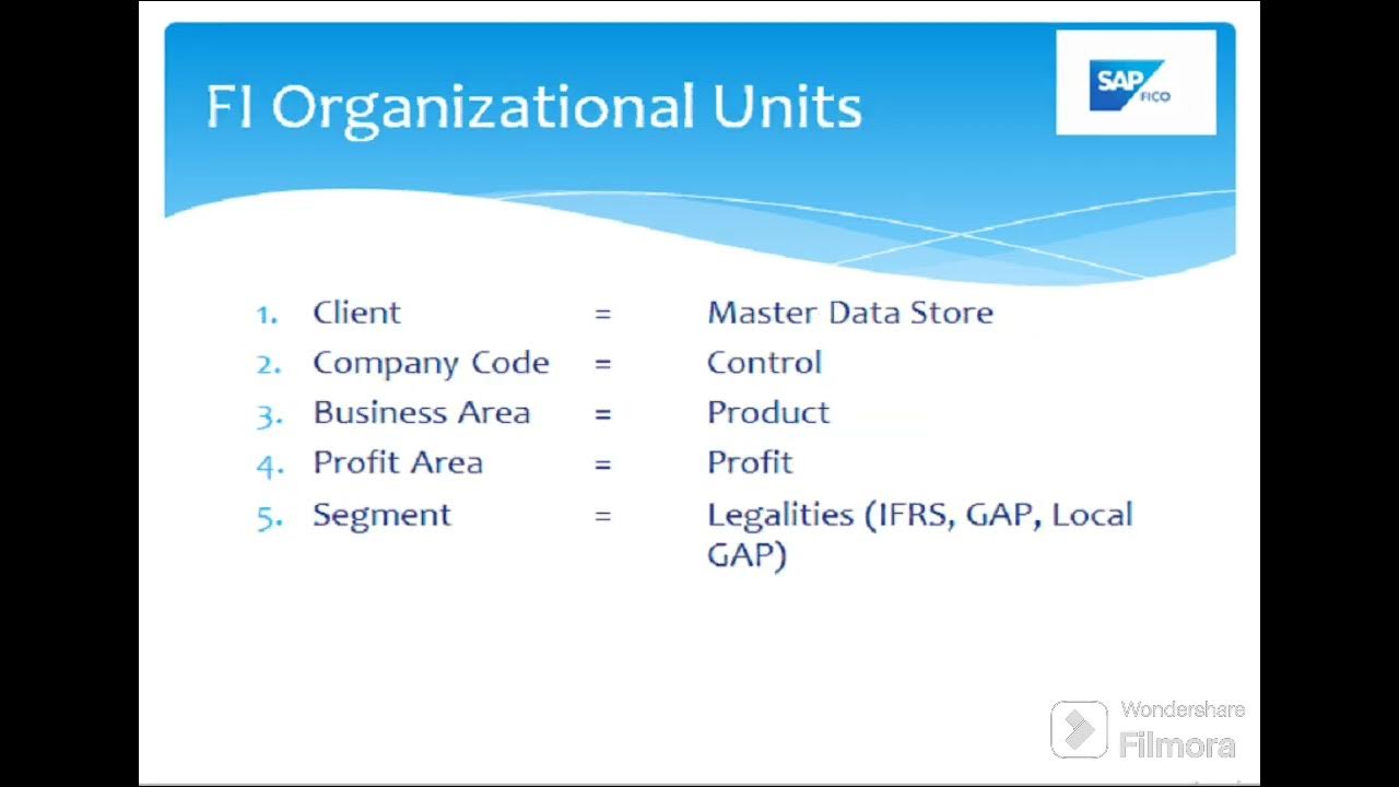 SAP, SAP FI-CO, and FI organization Unit - YouTube
