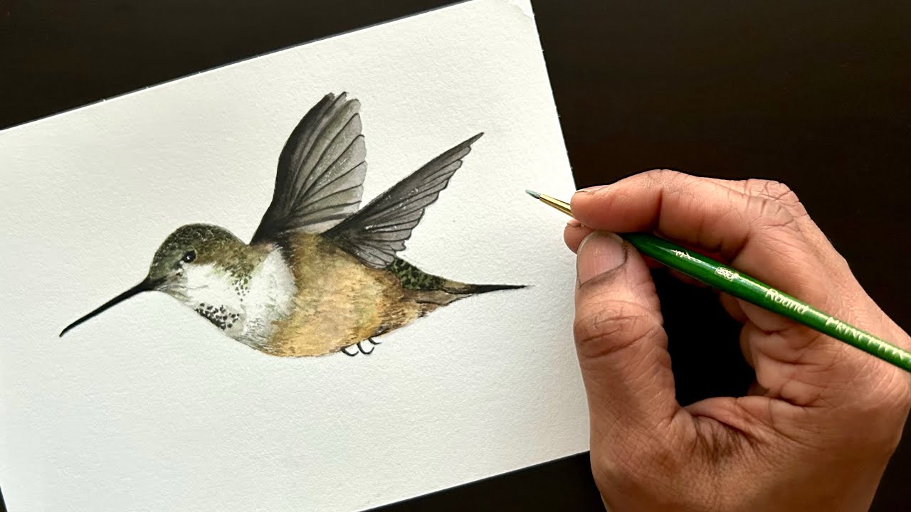 How To Paint Realistic Hummingbird With Watercolors: Full Step By Step ...