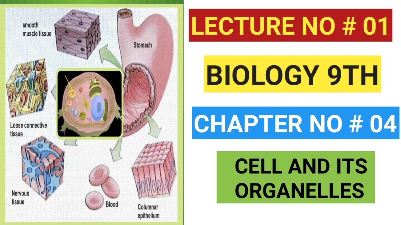Class 9 || Biology || Lecture No # 01 || Chapter No # 04 || Part 1 ...