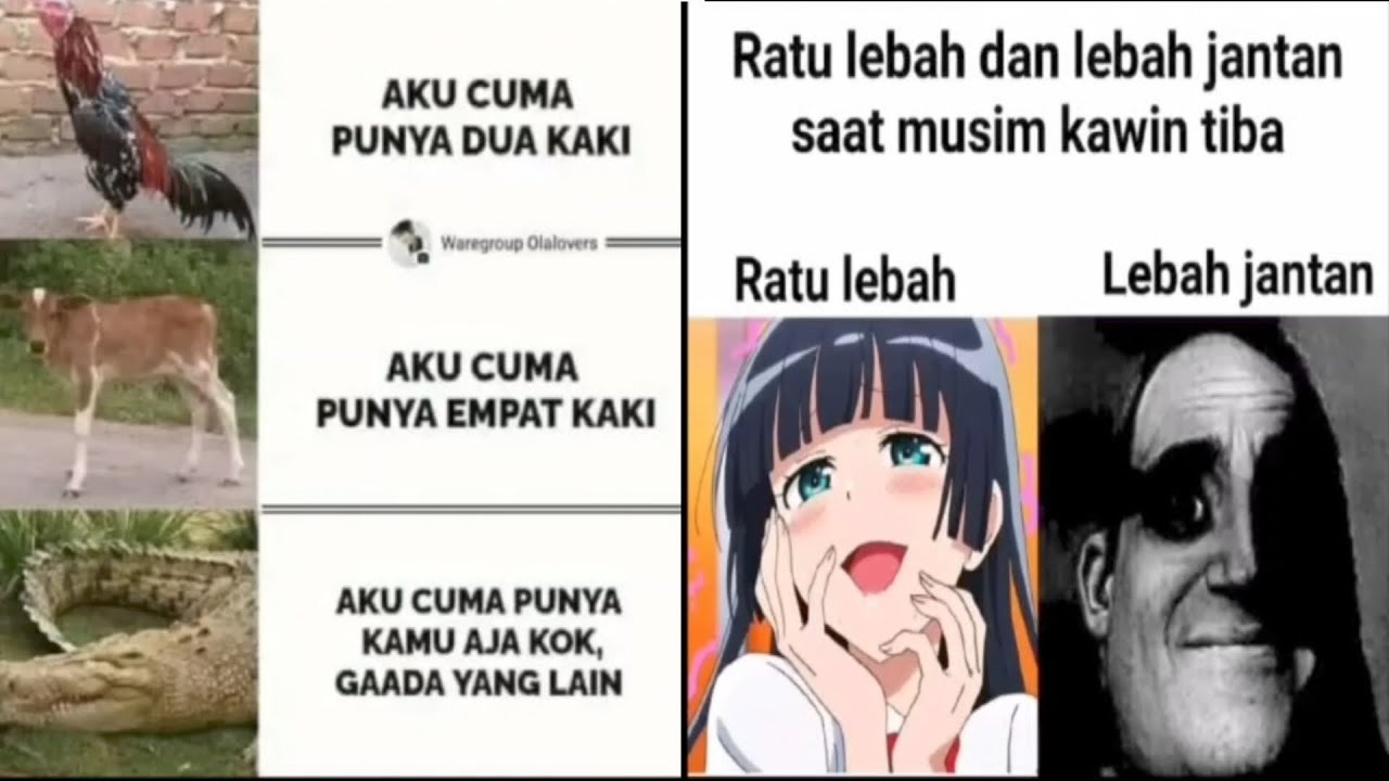 Asupan Meme Random Facebook part 5 | Kompilasi Meme - YouTube