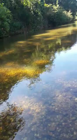 que lindeza - YouTube