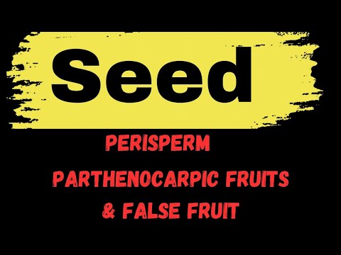 Seed | perisperm | parthenocarpic fruit | false fruit | sexual ...