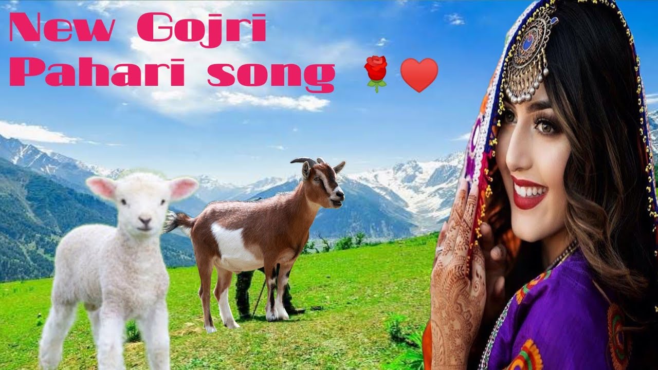 New Gojrii pahadi geet 🌹🌹 pahadi song 🌹🌹 Gujjari song video 🌹🌹 New ...