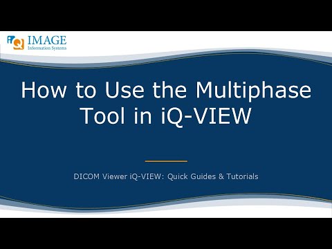How to Use the Multiphase Tool in iQ-VIEW - YouTube