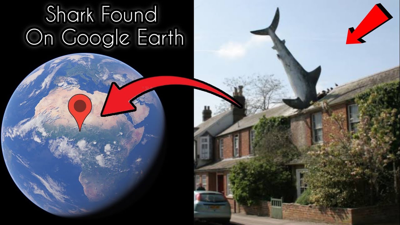 Shark 🤯On Google Earth 😱 and Google Maps 🗾. - YouTube