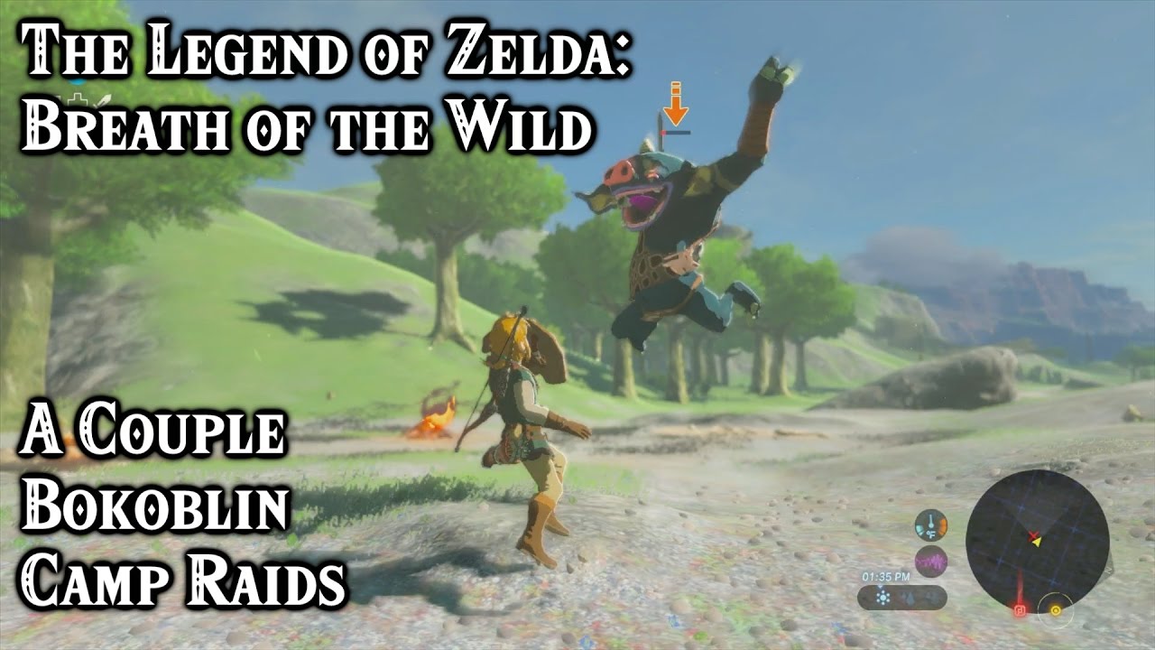 The Legend Of Zelda Breath Of The Wild A Couple Bokoblin Camp Raids Youtube