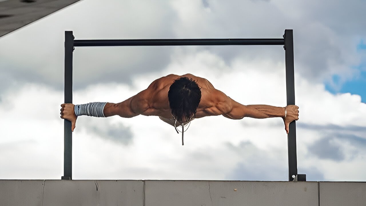 Maltese Perfection | Dailong_ns Calisthenics, Planche - YouTube