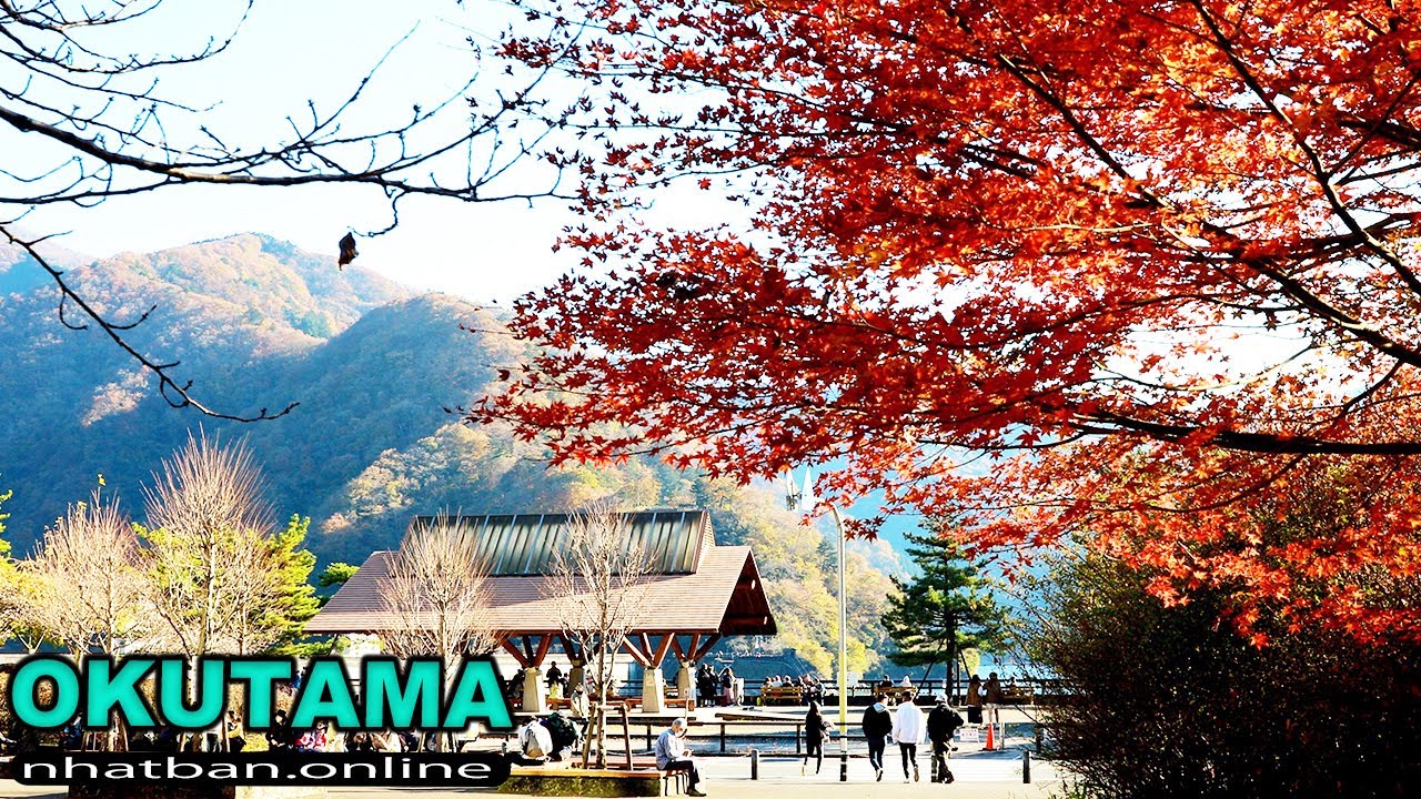 Japan OKUTAMA It is feeling like Autumn more and more in Tokyo City #4k ...