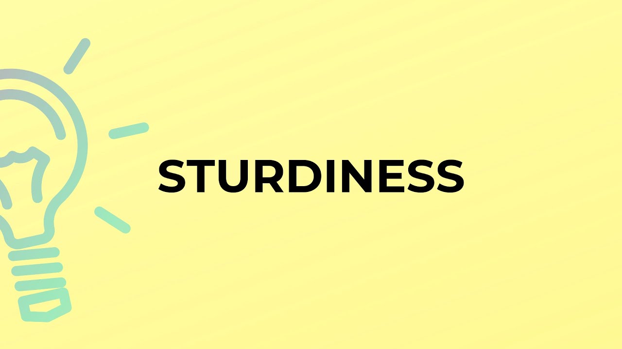 What is the meaning of the word STURDINESS? - YouTube