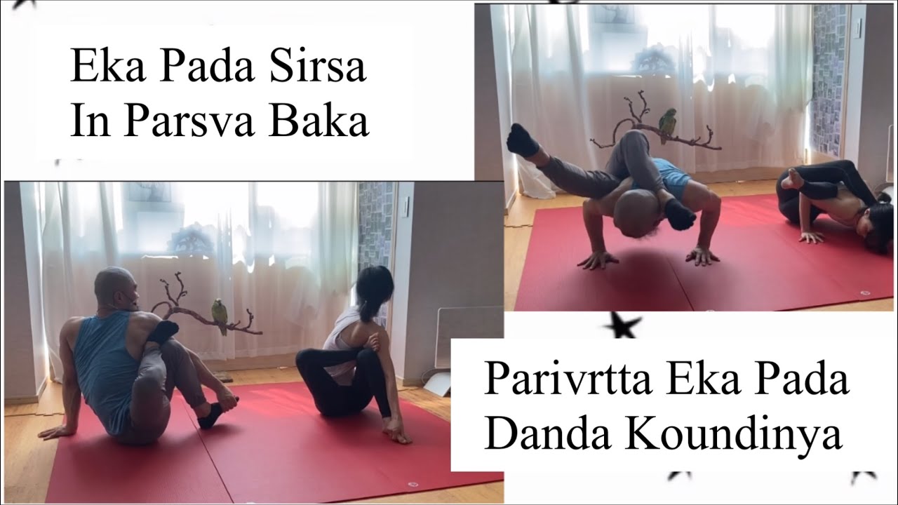 Eka Pada Sirsa In Parsva Baka / Parivrtta Eka Pada Danda Koundinya ...