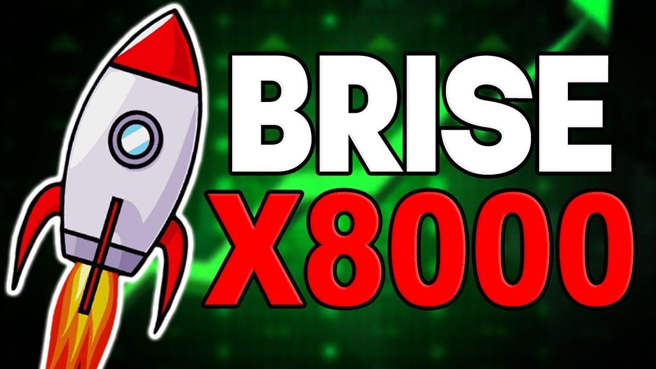 BRISE COIN NEWS TODAY: BITGERT: BULLISH NEWS! ALL TIME HIGH INCOMING ...