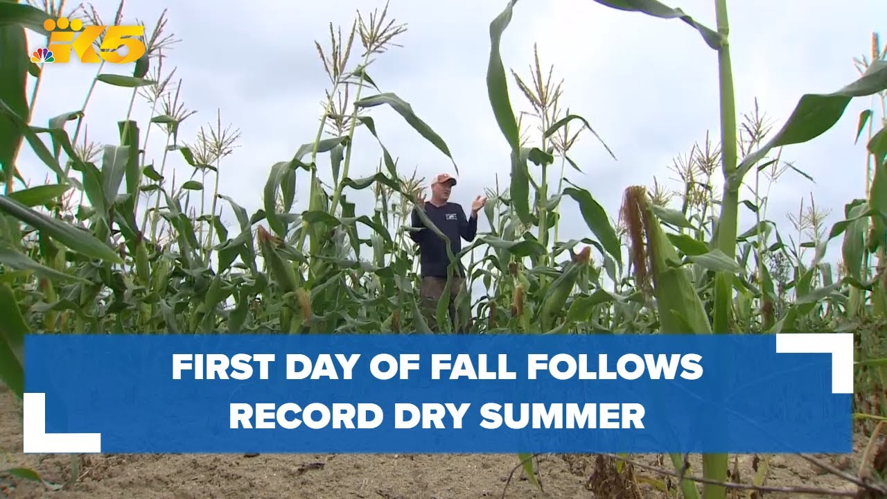 First day of fall follows record dry summer - YouTube