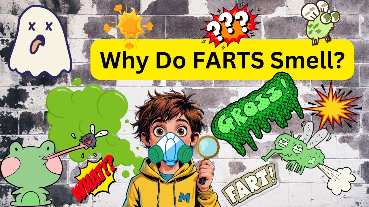 Why Do Farts Smell? 💨 | MaxxWonders Explains - YouTube