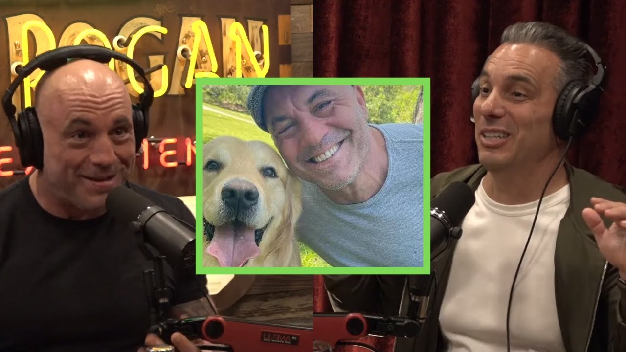 Joe Rogan On Why Dogs Are Better than Cats | JRE - YouTube