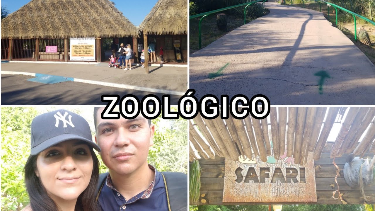 🐒 ZOOLOGICO DE SONORA| ZOO 🐅 - YouTube