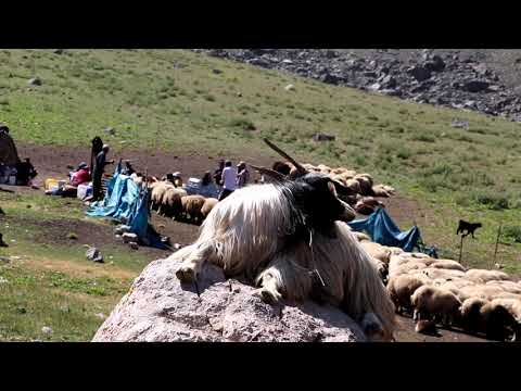 Hakkari Kırıkdağ / Bala Yaylası