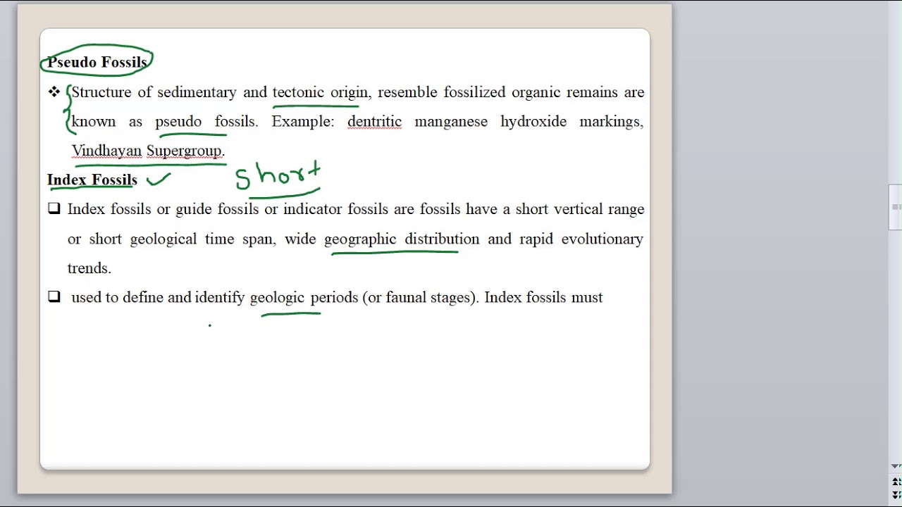 Geology: Types of Fossils and Their Significance - YouTube