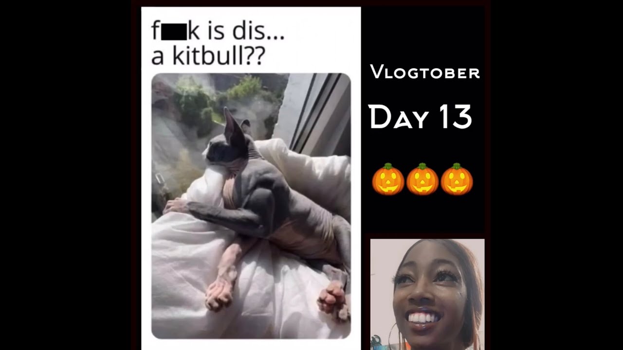 Mixed Bag Memes - Mentally Mitch | VLOGTOBER DAY 13 | #vlogtober # ...