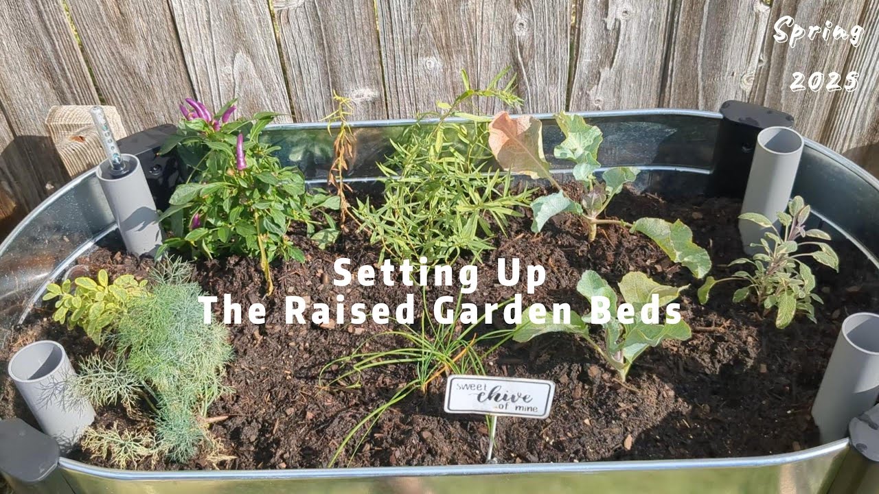 Setting Up The Raised Garden Beds - YouTube