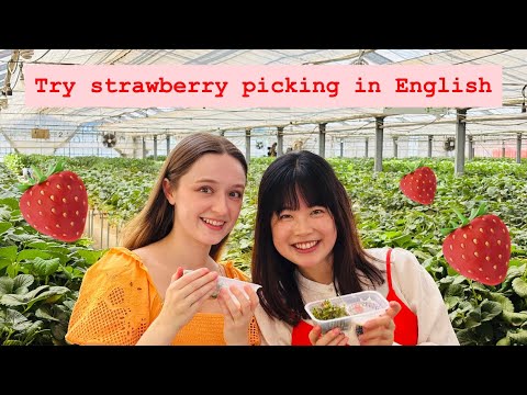 Try strawberry picking in English