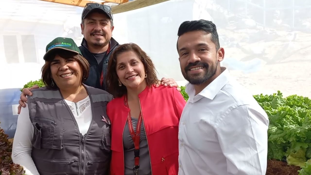 14 Mujeres de Caleta Cifuncho componen el 1er cultivo de hortalizas y ...
