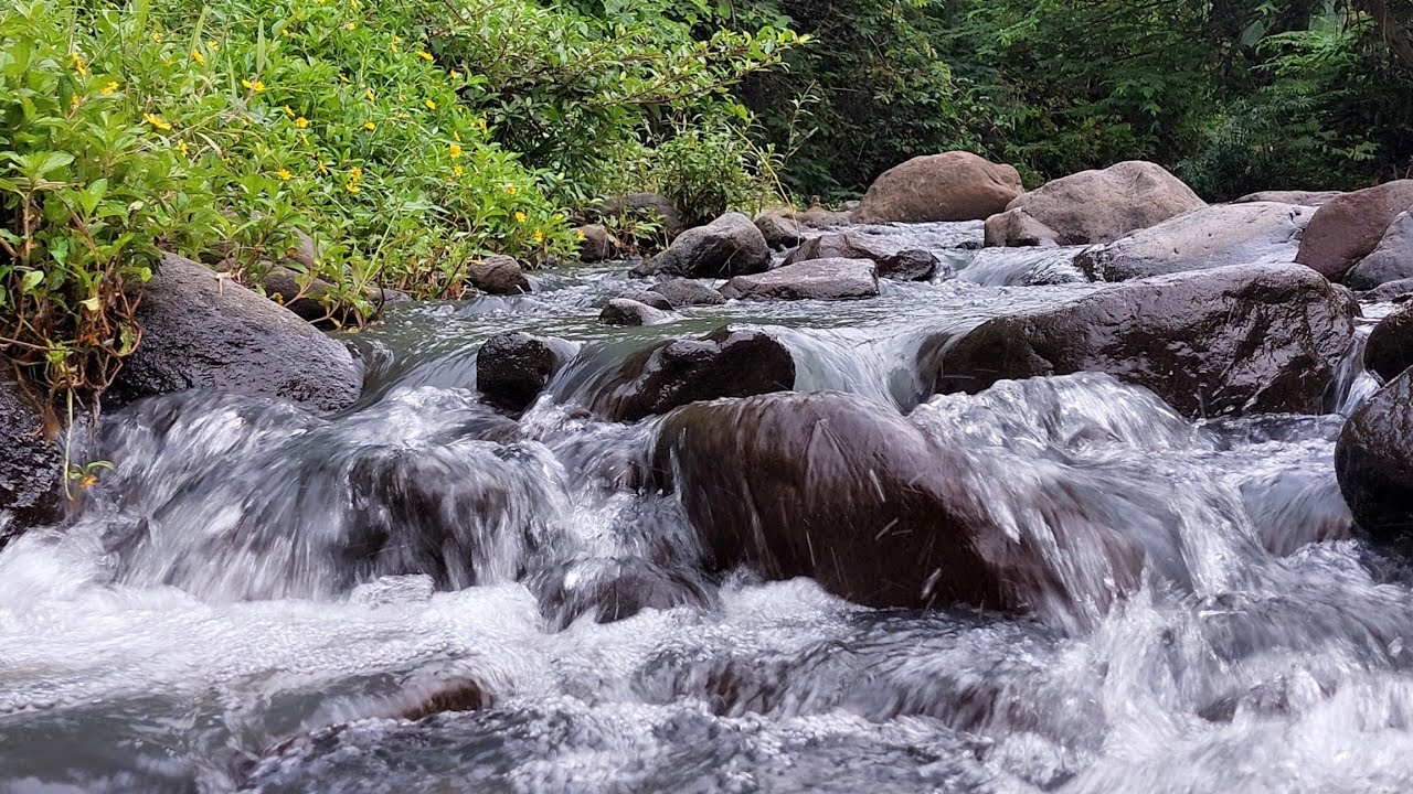 PEACEFUL RIVER FLOWING| PEACEFUL SOUND, RELAXING MIND, MEDITATION AND ...