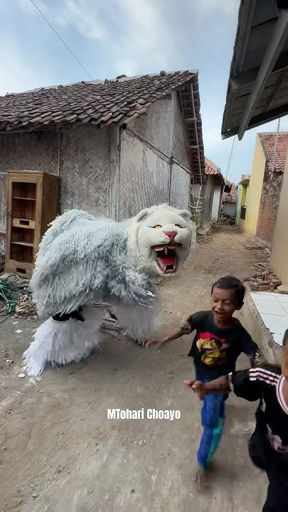 Bocil ff dikejar can macanan mau dimakan - YouTube