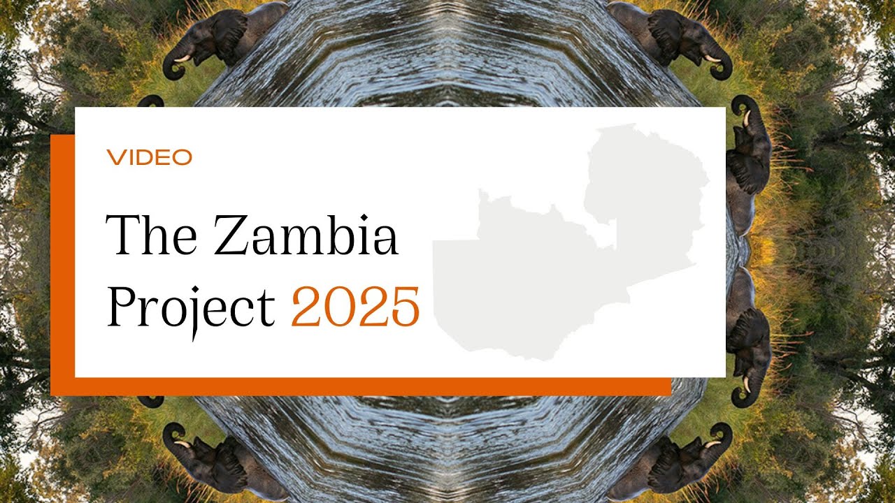 The Zambia Project 2025 - YouTube