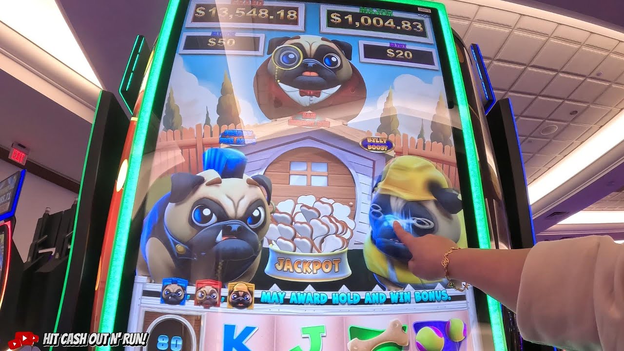 The NEW PUG PAYS SLOT MACHINE! Will the PUGS PAY US!? - YouTube