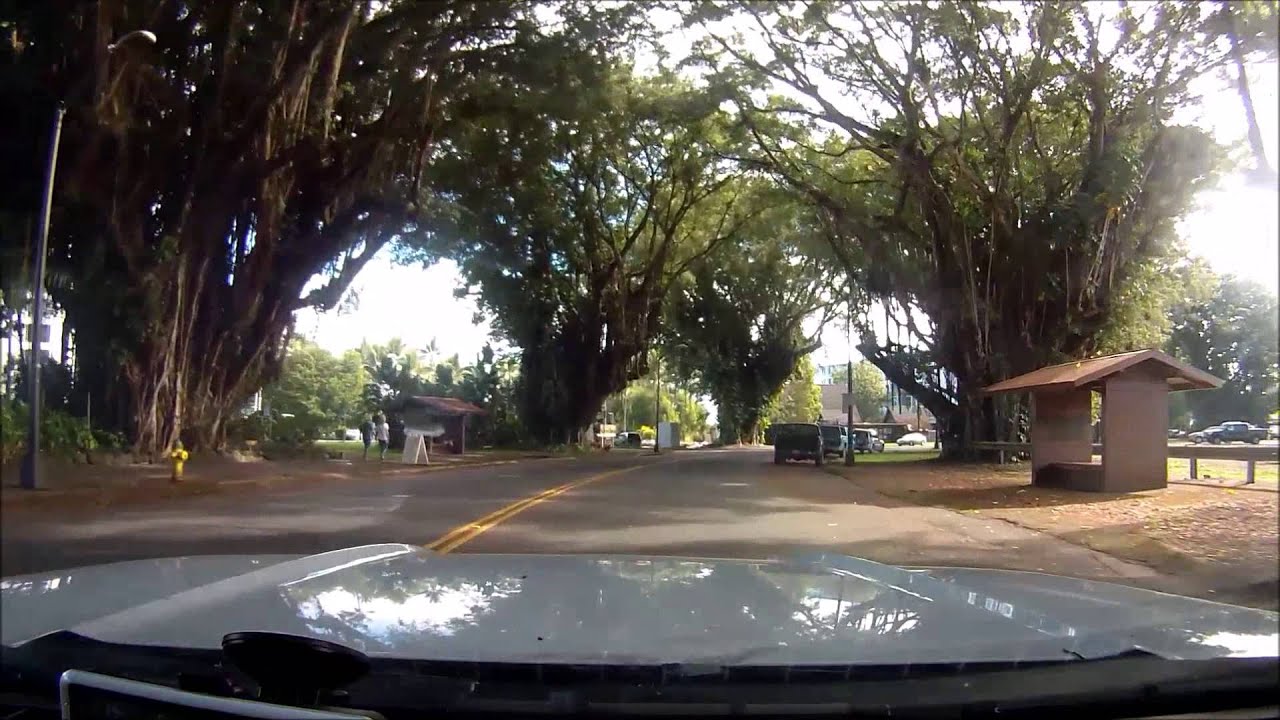 Banyan Drive, Hilo - Hawaii - YouTube