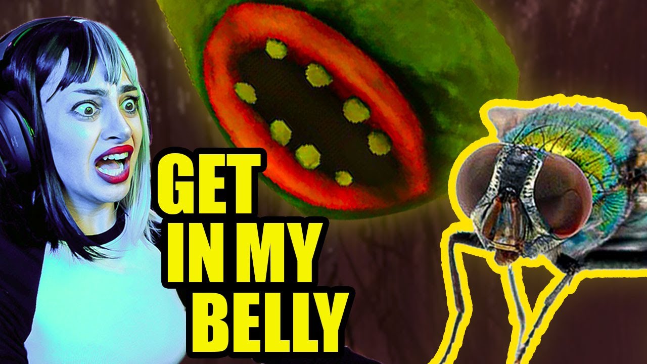 I'm a Nice Fly Who Gets Eaten by a Mean Plant | The Hungry Fly DEMO ...