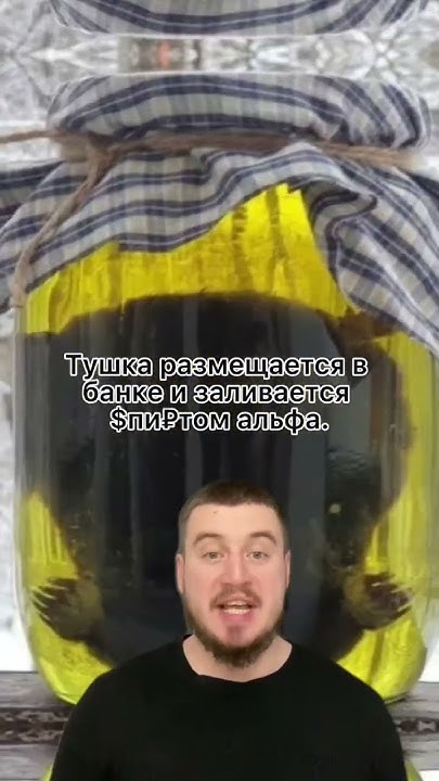 Что вдохновляет людей на такие эксперименты? #крот #кротовуха # ...