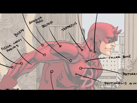 Comic Book Coloring Tips and Tricks Episode 13: More Fun With Anatomy ...