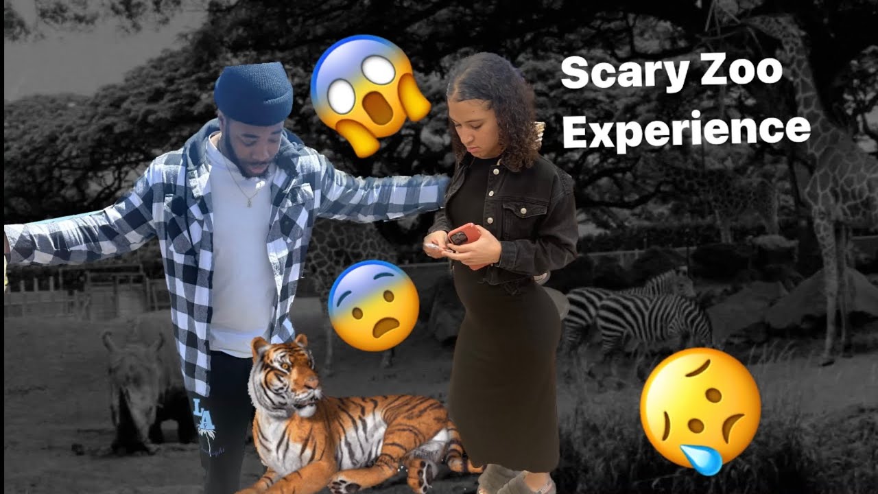 Zoo experience!!! *Got Very Scary** 😕🥲 - YouTube