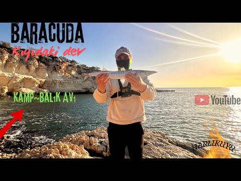 Mersin Narlıkuyu'da ŞOK!! Kıyıdan Baraküda Avı! 