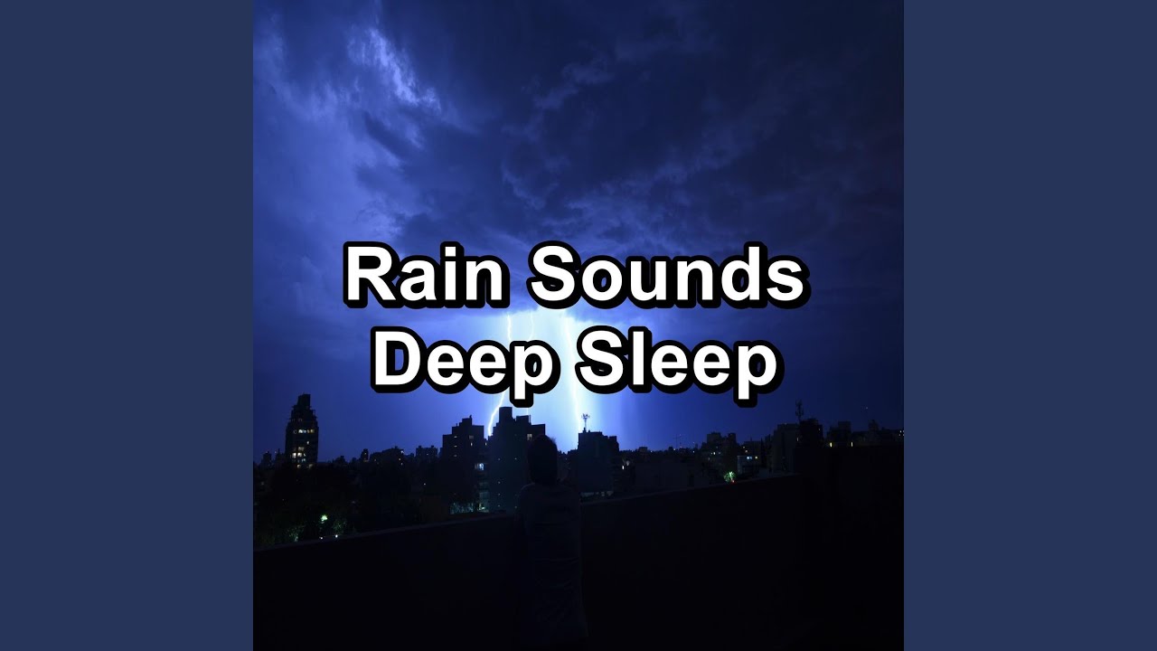 Forest Rain and Nature Sounds in the Night - YouTube