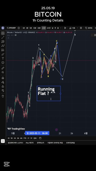 Nova 3PEAKS "Running Flat Wave5-2?" #btc #crypto #trader #bitcoin #trading #forex #forextrading ...
